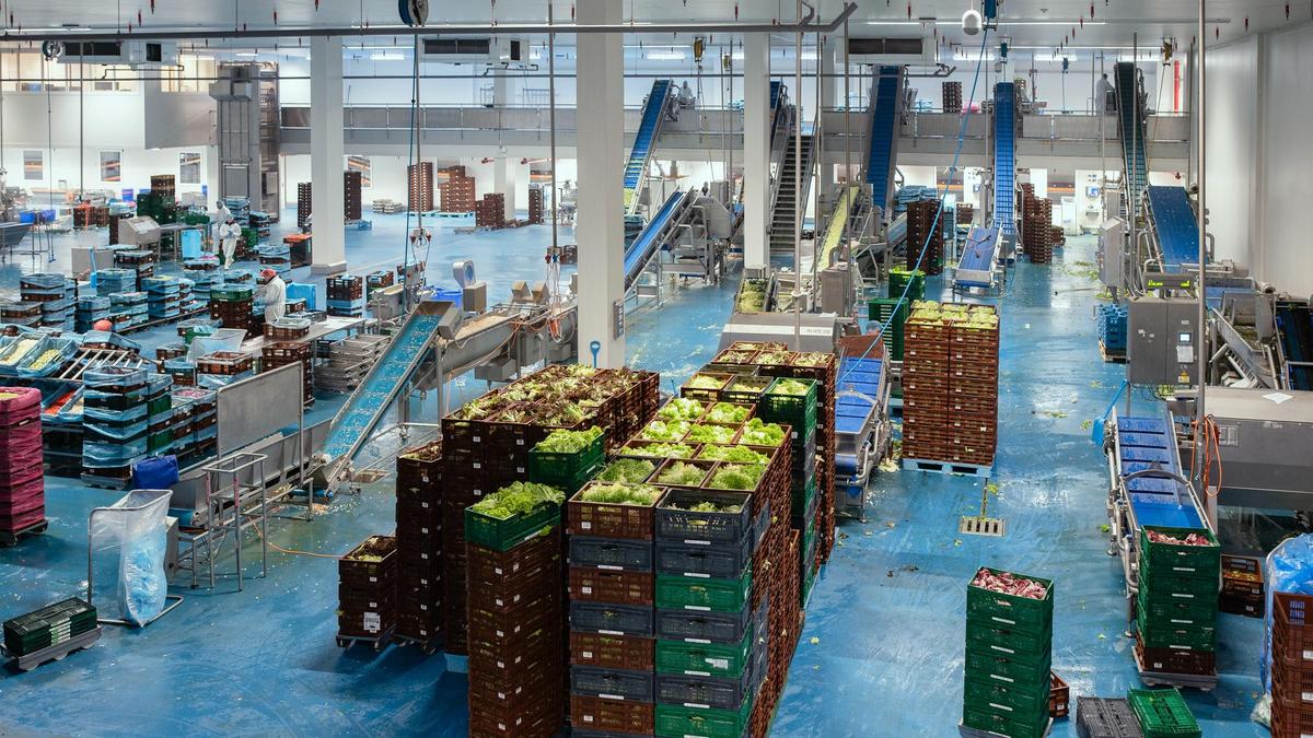 Financiering voor de foodsector